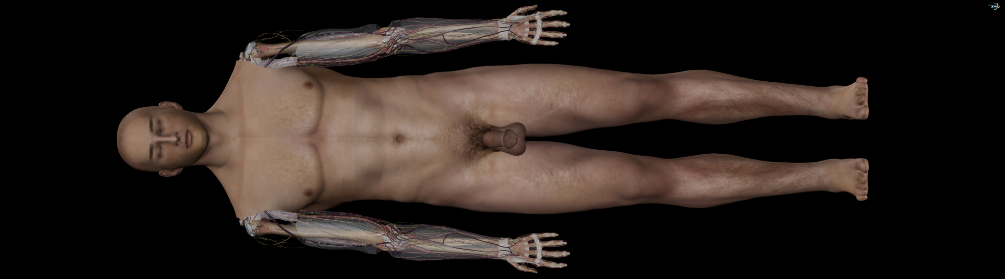 A Major Breakthrough in Medical Education