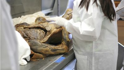 Anatomy | Learn in 3D with Cadaviz