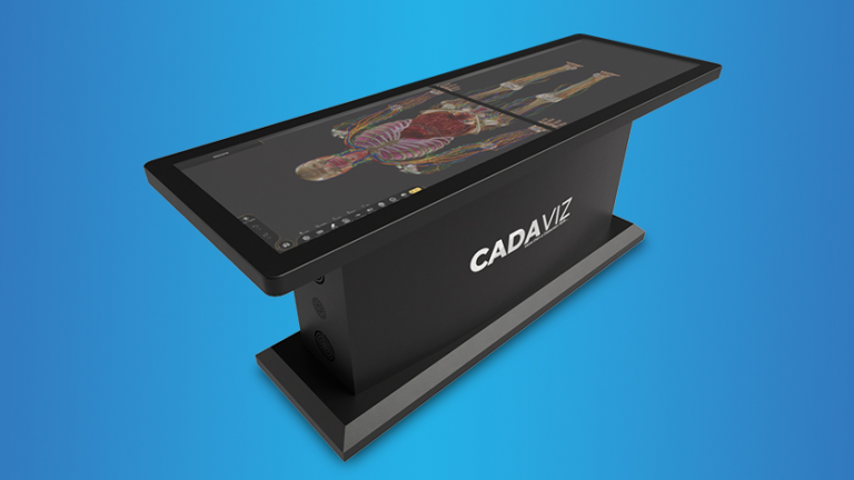 Window Dissection | Learn Digitally with Cadaviz