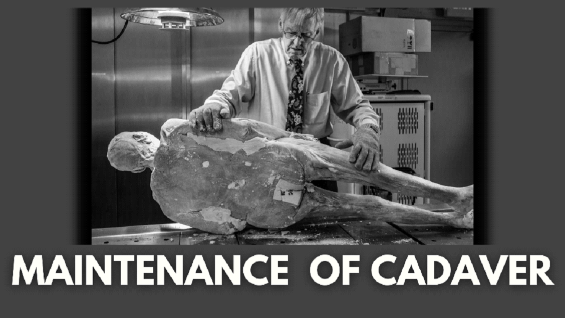 Virtual Anatomy Table: A Better Tool to Learn Human Body