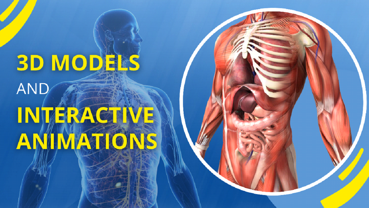Virtual Anatomy Table: A Better Tool to Learn Human Body