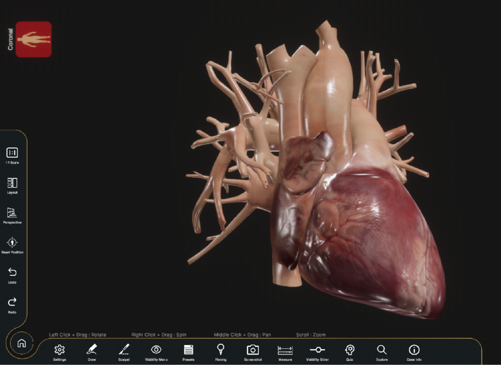 Virtual Human Dissection Table: Explore Anatomy Digitally