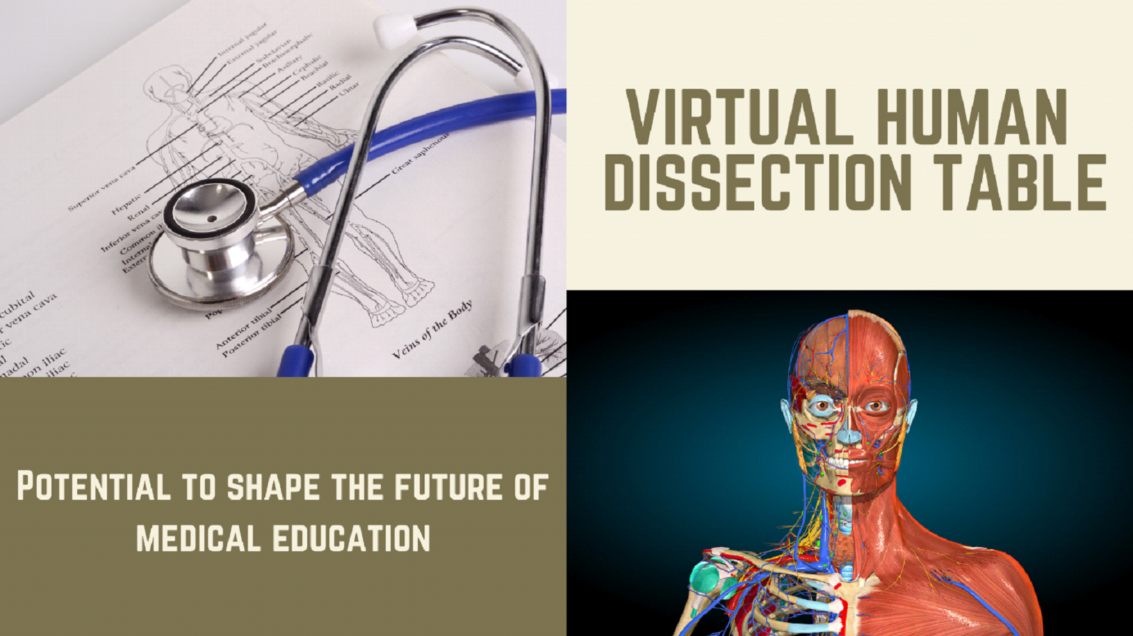 Virtual Human Dissection Table: Explore Anatomy Digitally