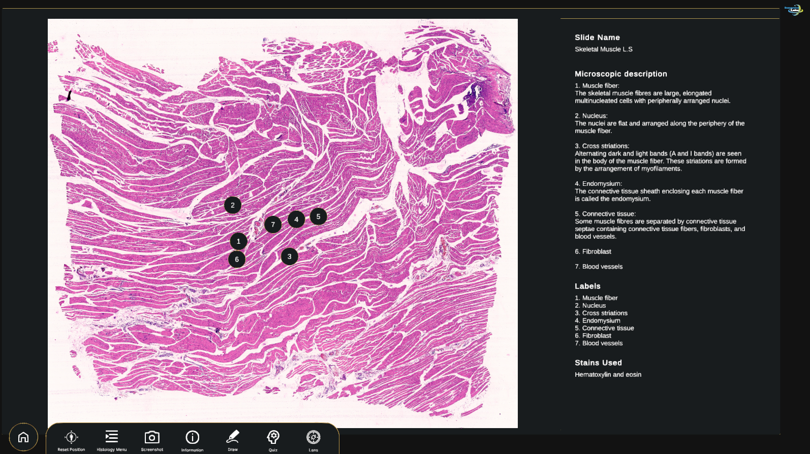 Anatomy | Learn in 3D with Cadaviz