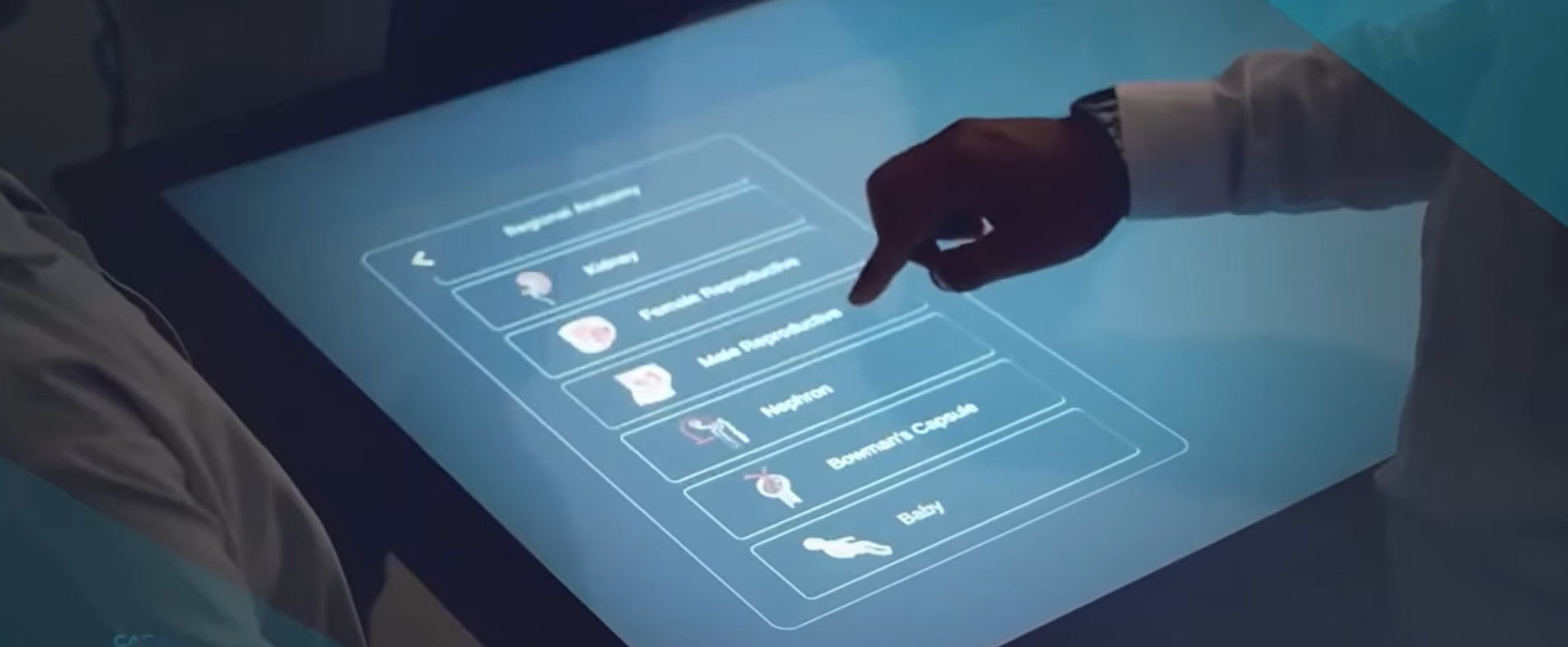 Anatomy | Learn in 3D with Cadaviz
