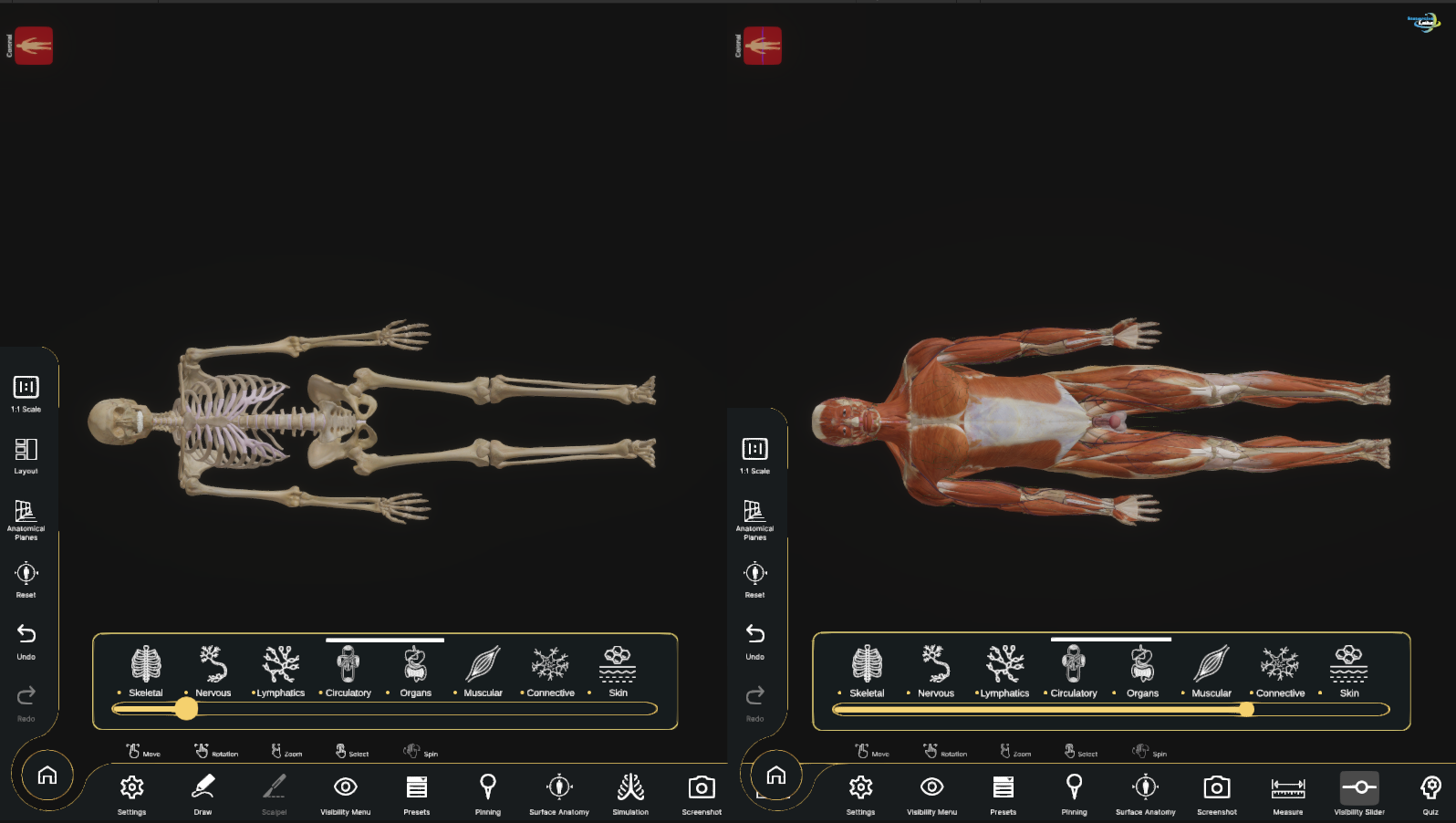 Anatomy | Learn in 3D with Cadaviz