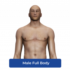 Cadaviz | Most Advanced Virtual Human Dissection Table