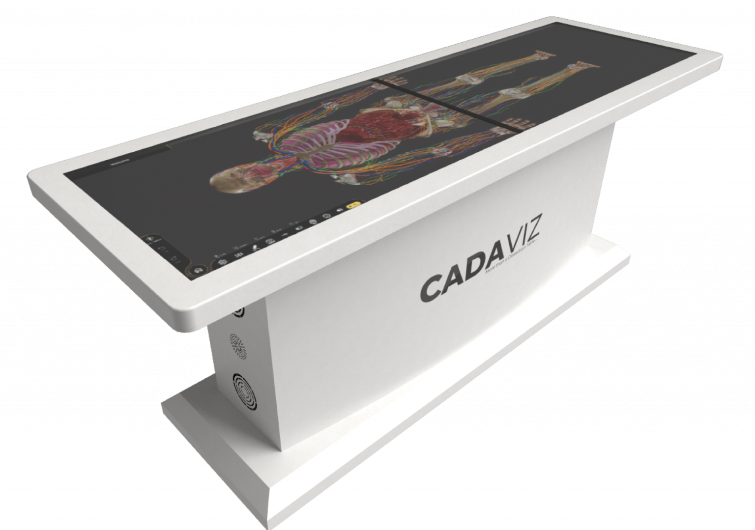Cadaviz | Most Advanced Virtual Human Dissection Table