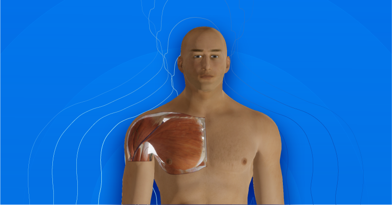 Cadaviz | Window Dissection | Block Dissection