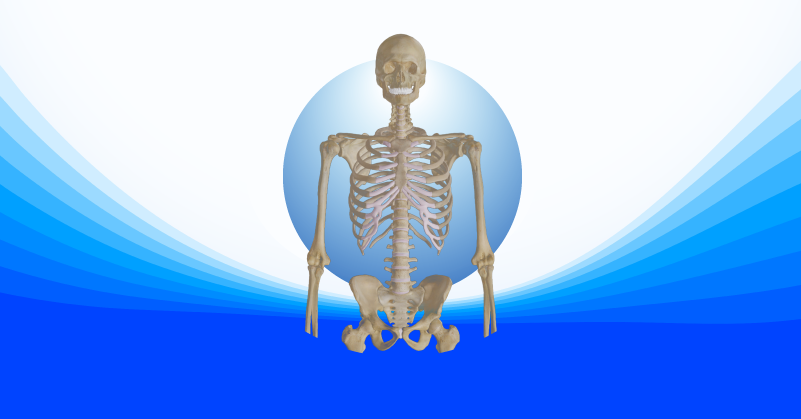 Cadaviz | Osteology | Advance Medical Learning